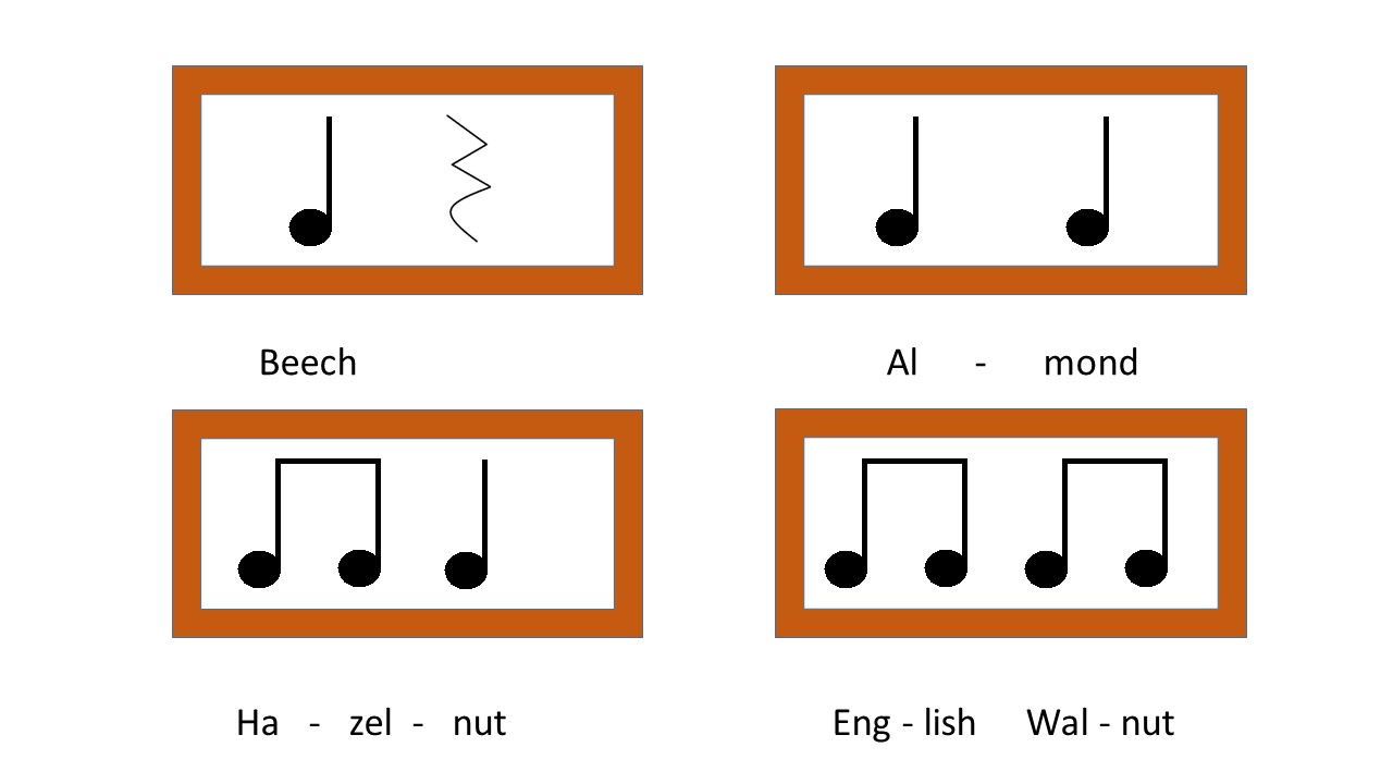 Musical Memories and Lessons Learned