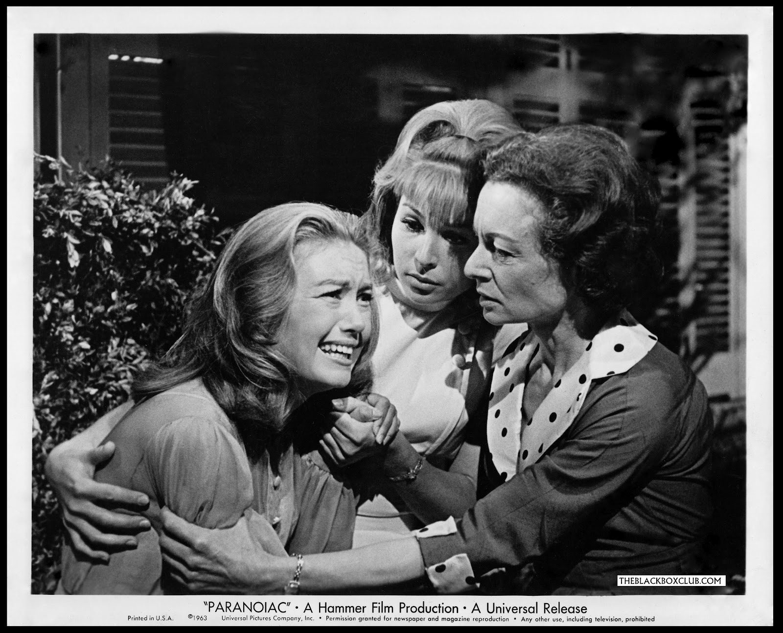 The Black Box Club: JANETTE SCOTT OLIVER REED : 'PARANOIAC' BLU RAY ...