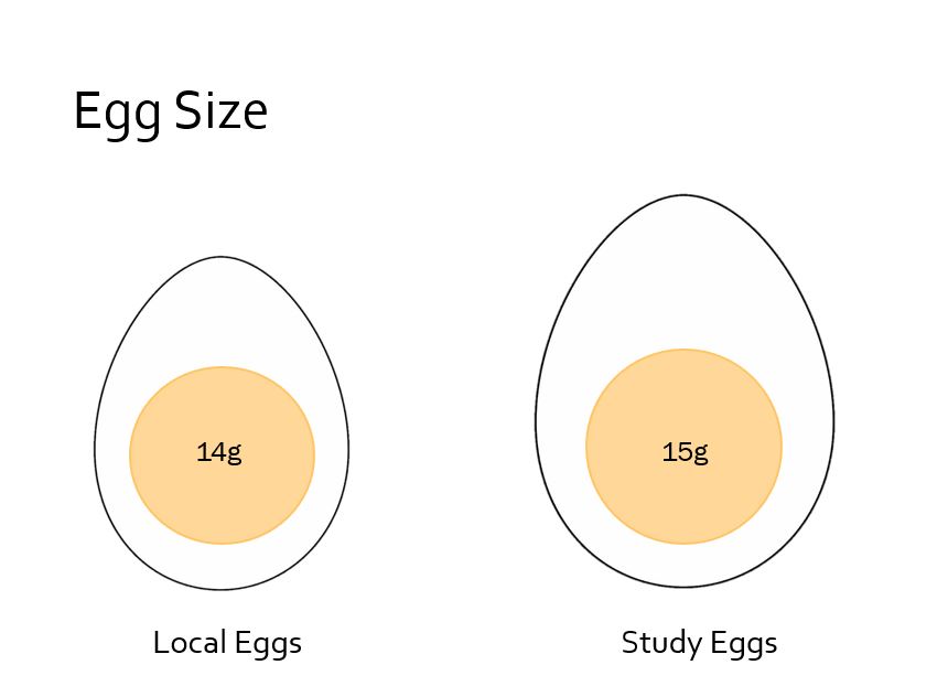 Nutritional Comparison of Eggs