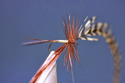 Niklas Dahlin -Flytier: Grey Fox Variant