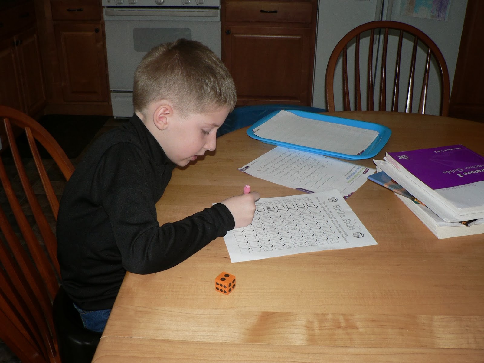 Schooling At Home Happenings: Happy 2014!