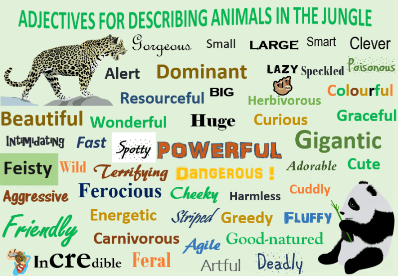 EOI CARTAGENA C1 y C2 INGLÉS: 20 Incredible Animal Adjectives To Go ...
