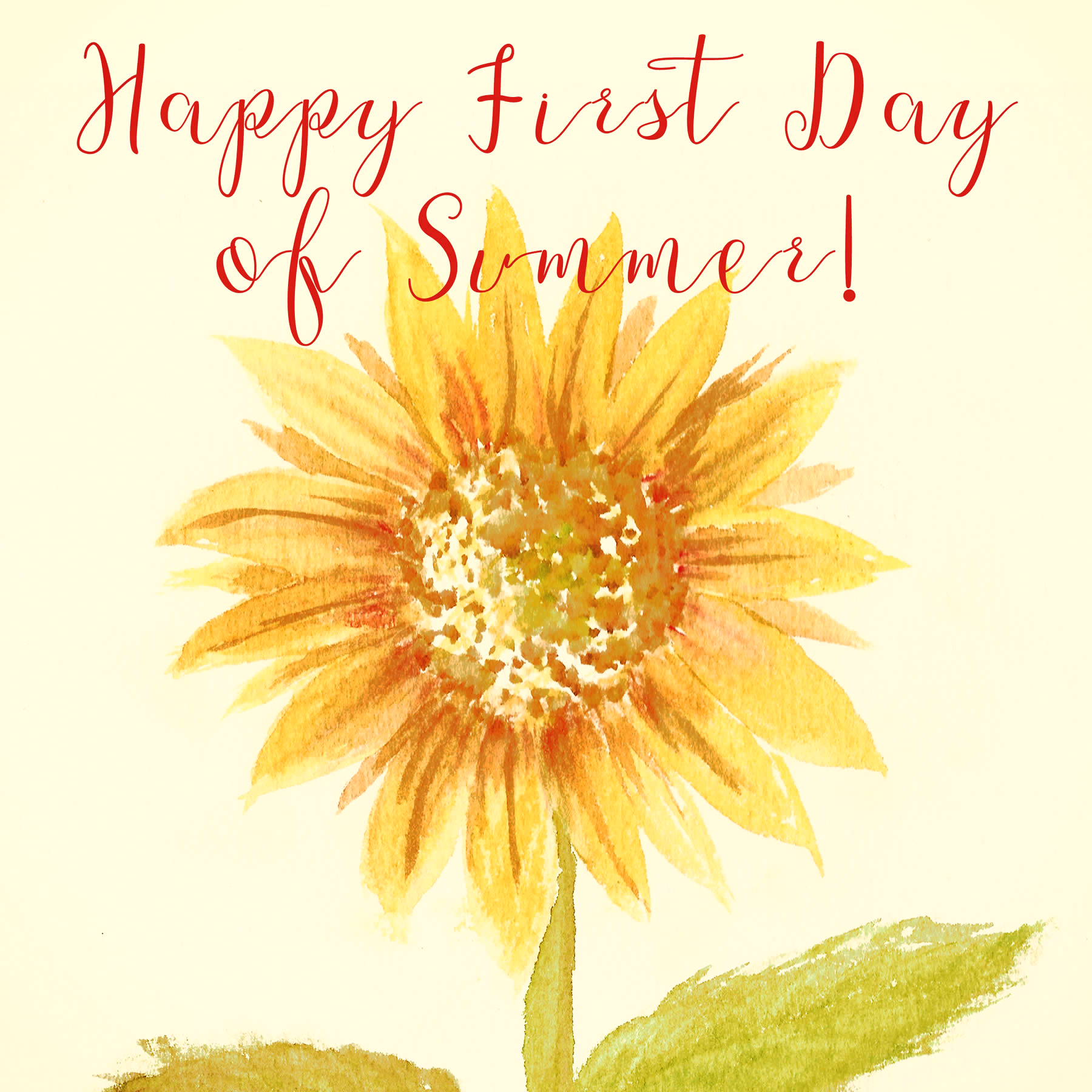 Life on Delmarva: Welcome Summer 2021! June 20th is the Official Start ...