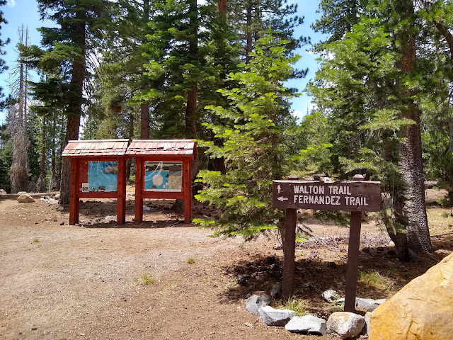 NorCal Dog Trails: Lillian Lake Loop