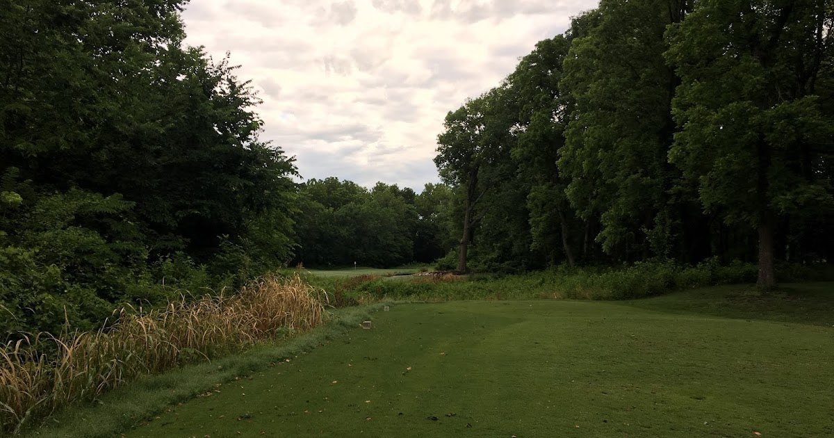 ADAMS POINTE GOLF CLUB: No. 8 and No. 12 Tee Expansion