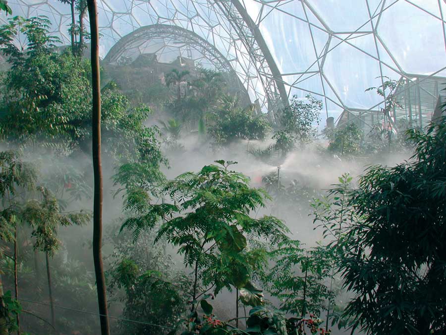 WHAT IS THE EDEN PROJECT? One mans review |The Garden of Eaden