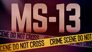 Largest MS-13 Take Down in NY, Nets over 100 Gang Members ~ Borderland Beat