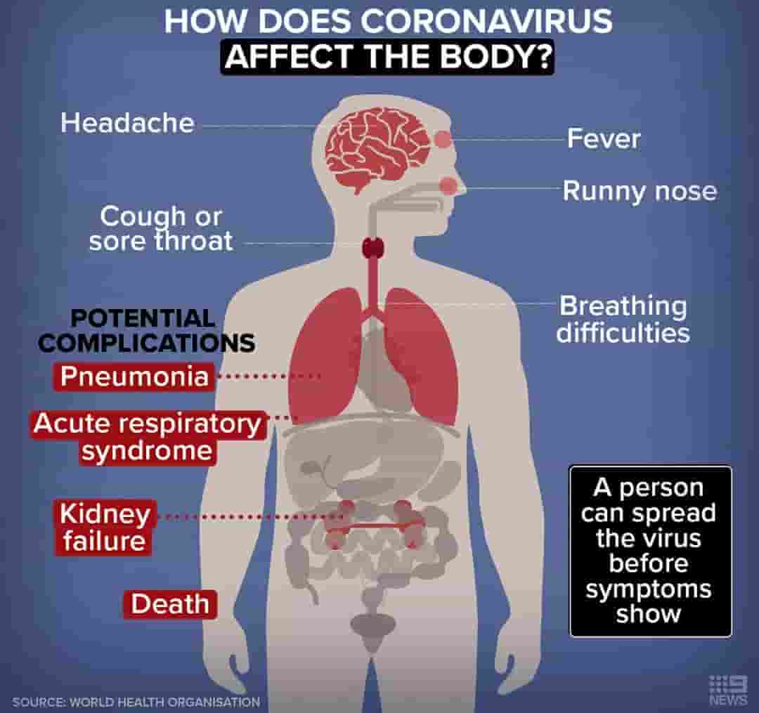 Is Corona Virus Created By Someone Else What Research Says K D S CaFe For Learning And is-corona-virus-created-by-someone-else-what-research-says-k-d-s-cafe-for-learning-and