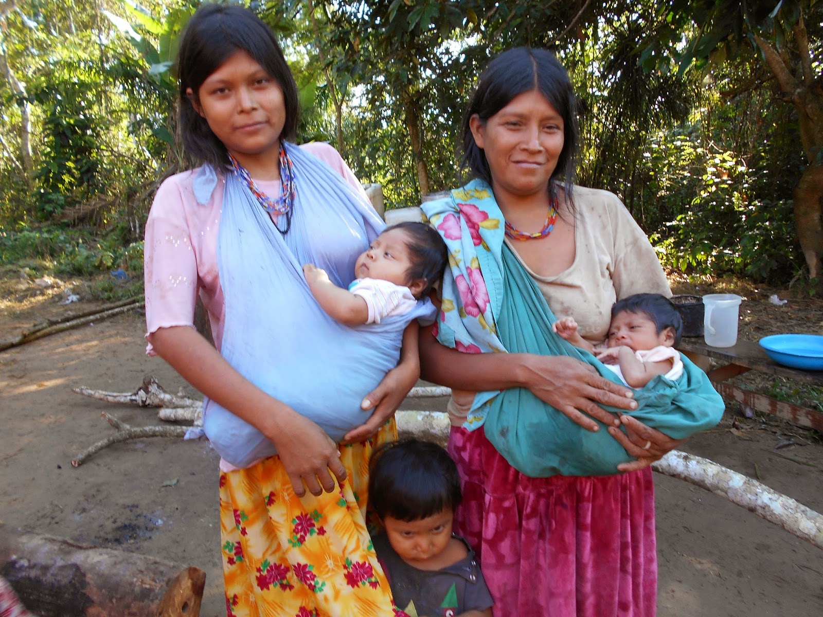 eScienceCommons: Amazonian study quantifies key role of grandparents in ...