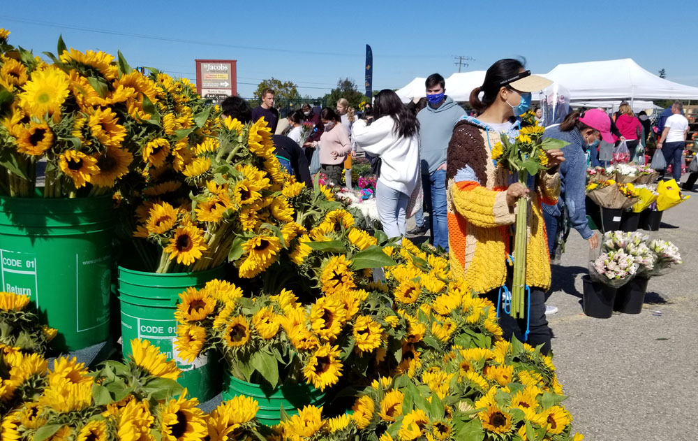 Toronto Grand Prix Tourist - A Toronto Blog: St. Jacobs Farmers Market ...