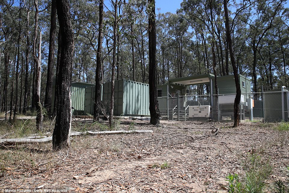 Inside Australia's only 'body farm': The secret bush site in Sydney ...
