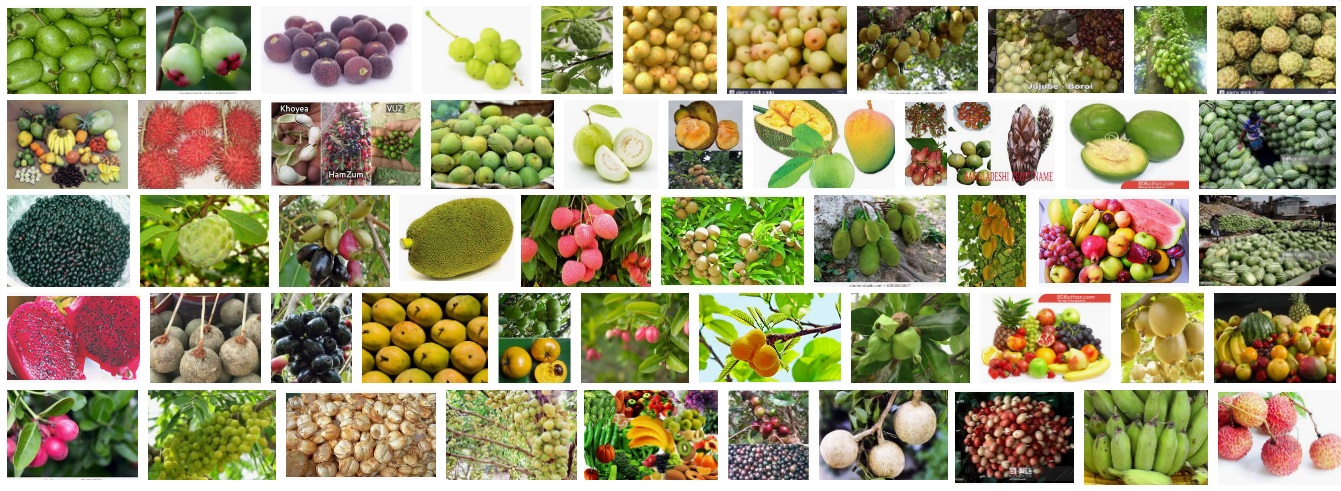 beautiful BANGLADESH from inside and outside: Bangladesh will be a Land ...