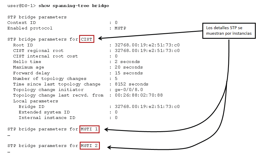 CCNP/JNCIS EN ESPAÑOL: Capítulo 5: Spanning Tree Protocols