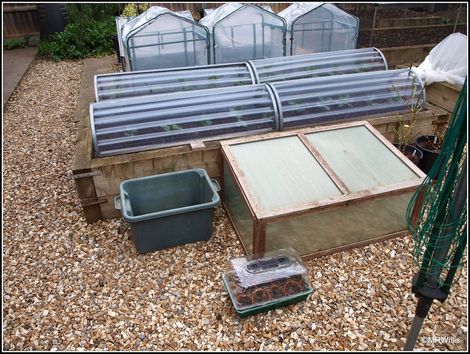 Mark's Veg Plot: Crop protection equipment
