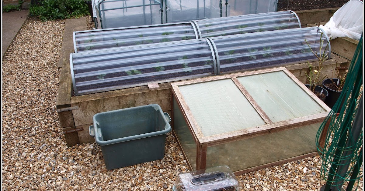 Mark's Veg Plot: Crop protection equipment
