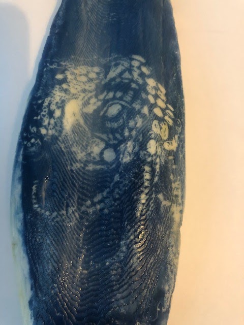 Cyanotype experiments part II