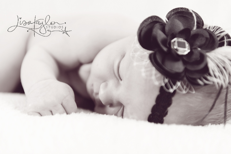 Lisa Taylor Studios | Utah Photographer