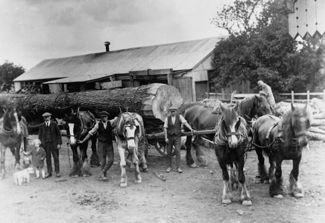 40 Rare Photographs Capture Rural Life Around the Cilgerran District of ...