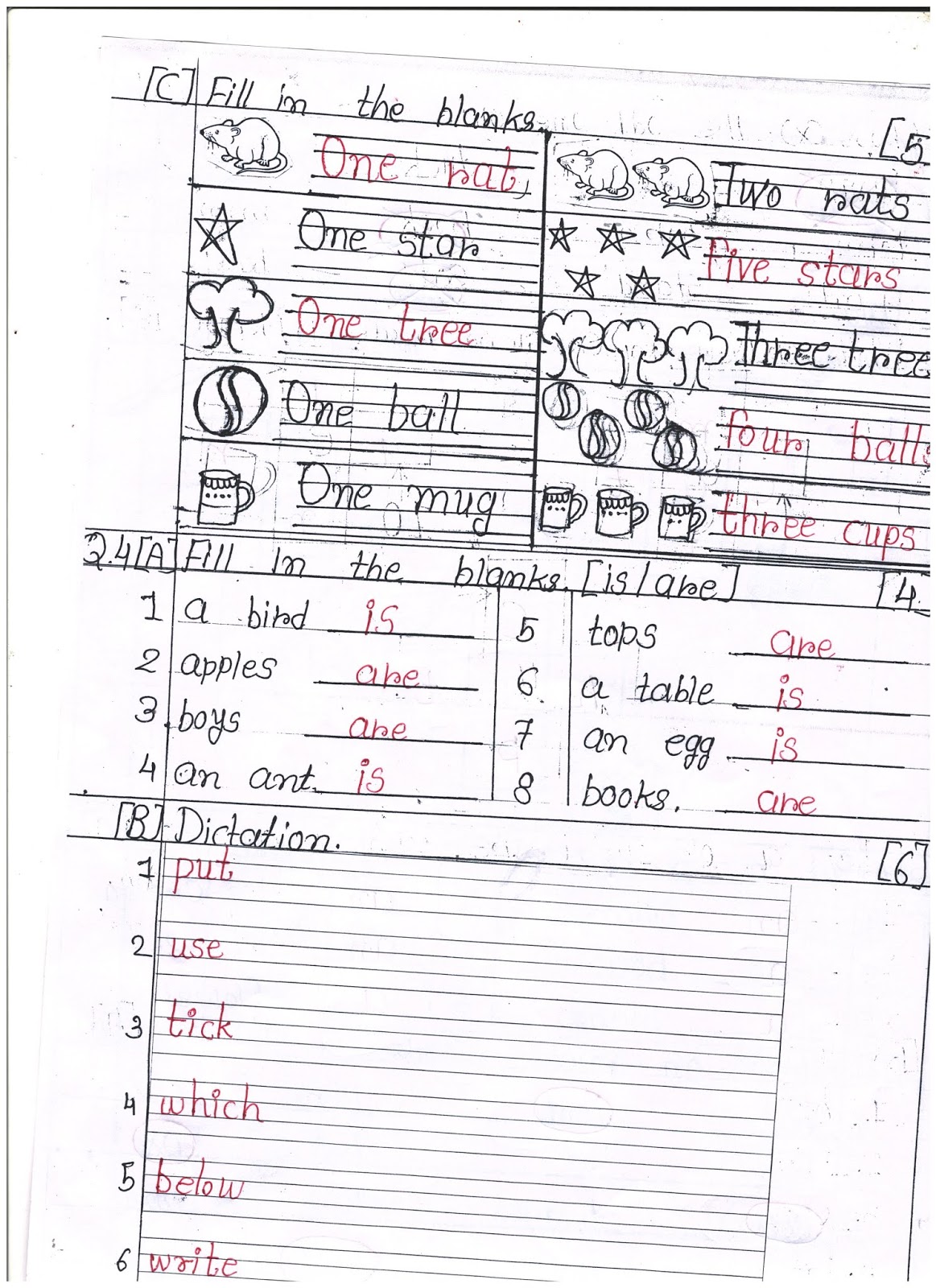 MID Term Exam Paper - SR KG - English