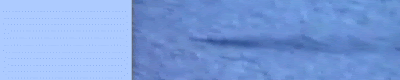 LOCH NESS MONSTER: Gordon Holmes' Giant Eel