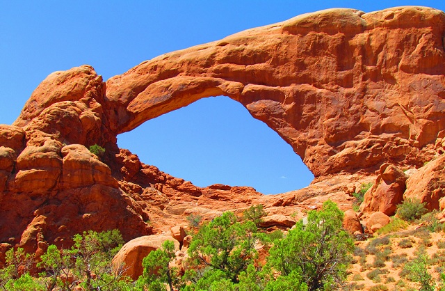 Bickford's Tin Can Tour: Arches & Canyonlands National Parks - UT