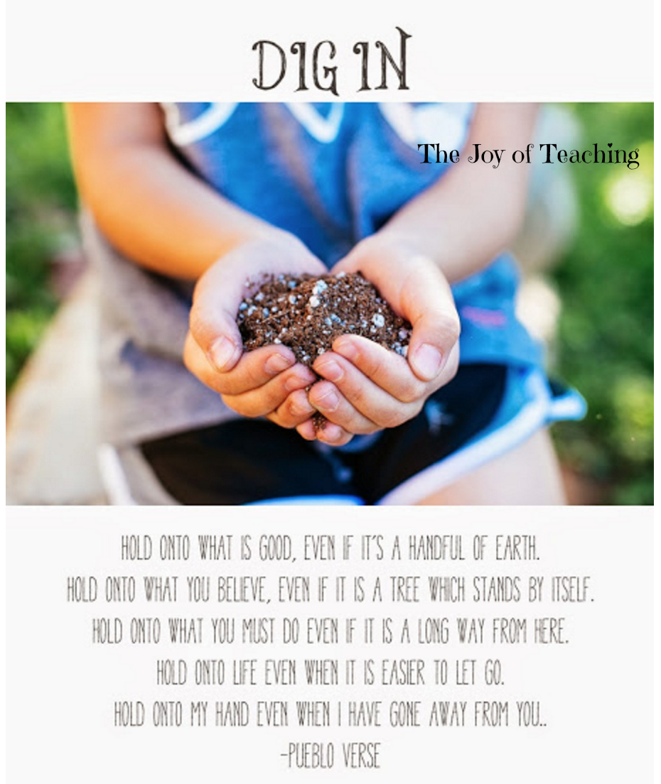 The Joy of Teaching: Dig In