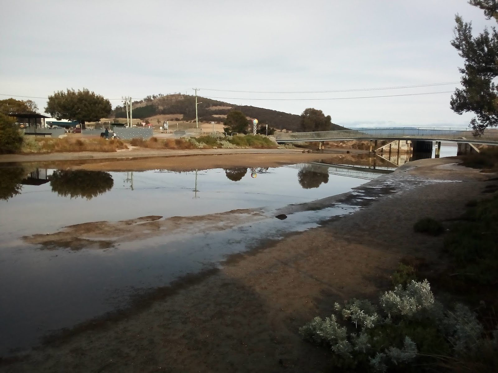 Bream Catcher: Fishing Shallow Water Canals For Bream In Winter