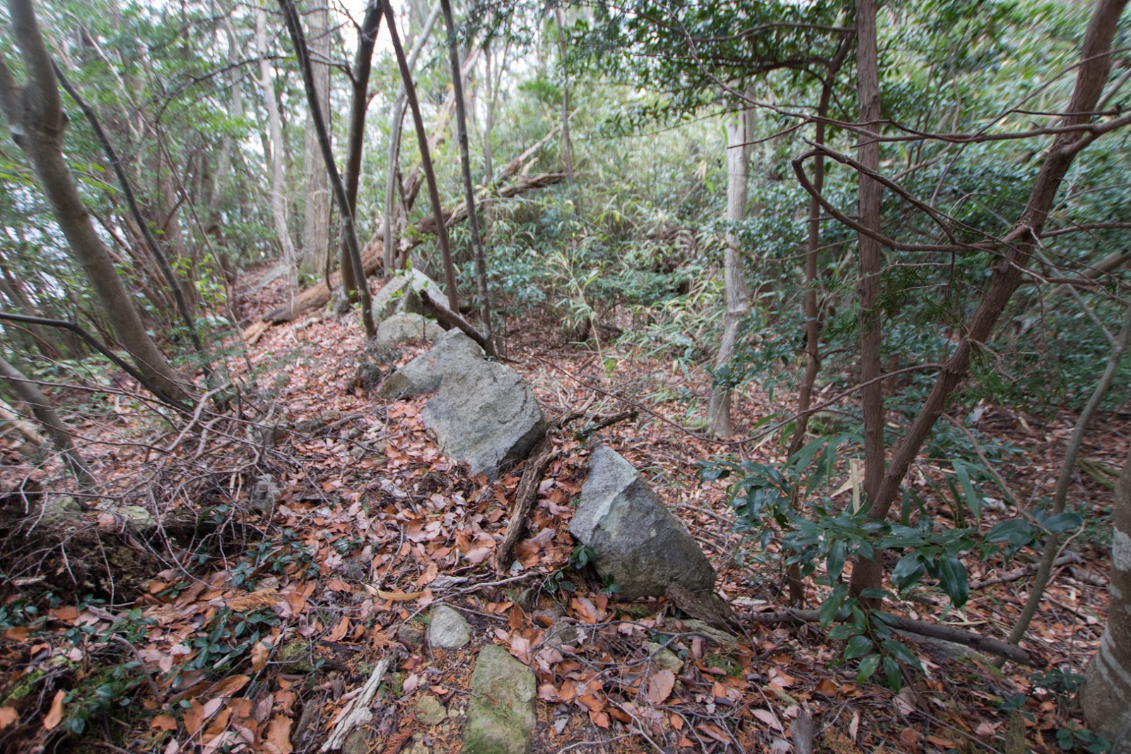Kannonji Castle -History of warlord next to capital (2) economic ...