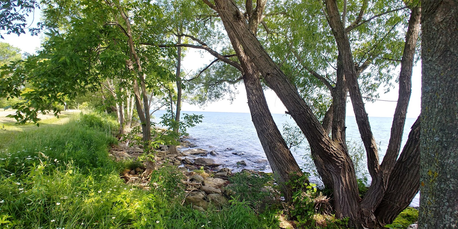 Peter And Evie - Travel blog: July 4 - Hamlin State Park, Hamlin, NY