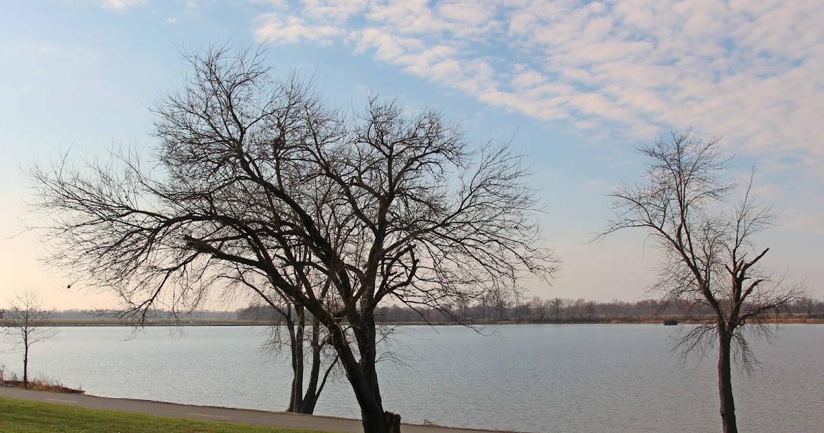 Out and About the Midwest: Horseshoe Lake, Pontoon Beach, IL