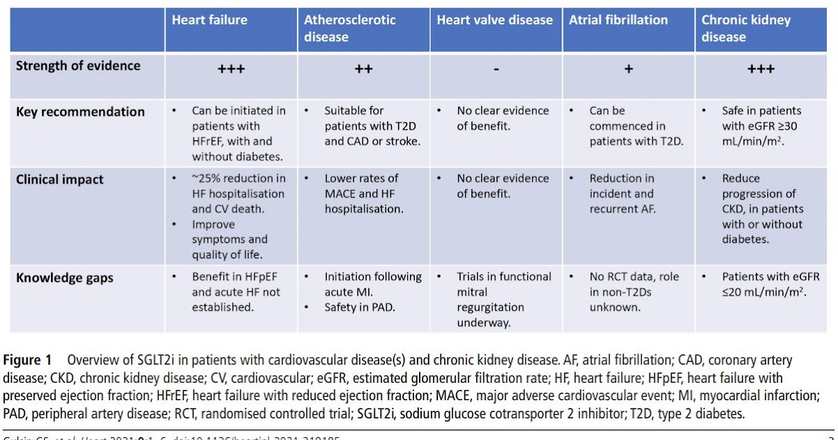 ZONA DE SALUD DE OFRA: (Heart) Beneficios de los iSGLT2 en las ...