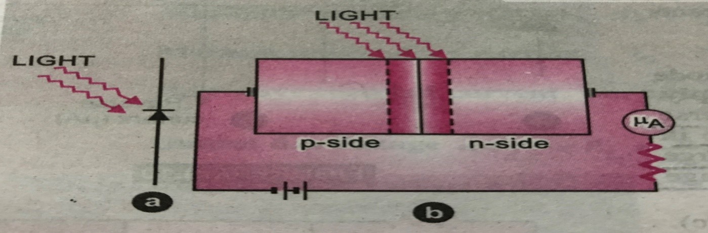 What is Photodiode | Working of Photodiode | Usage of Photodiode ...