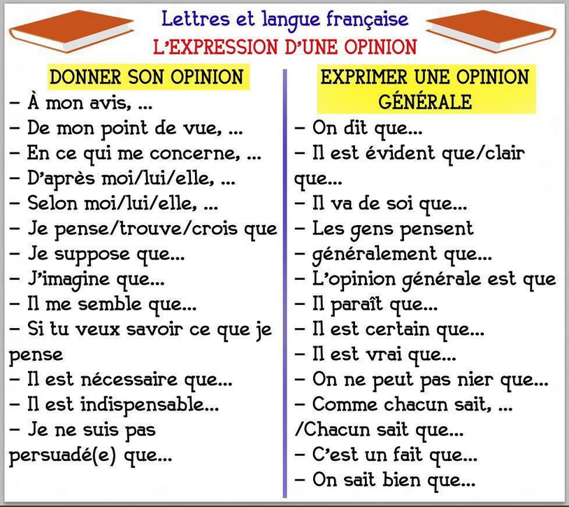 Francés Primaria: L'expression d'une opinion