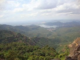 radhanagari wildlife and sanctury: RADHANAGARI DAM BACK WATAR