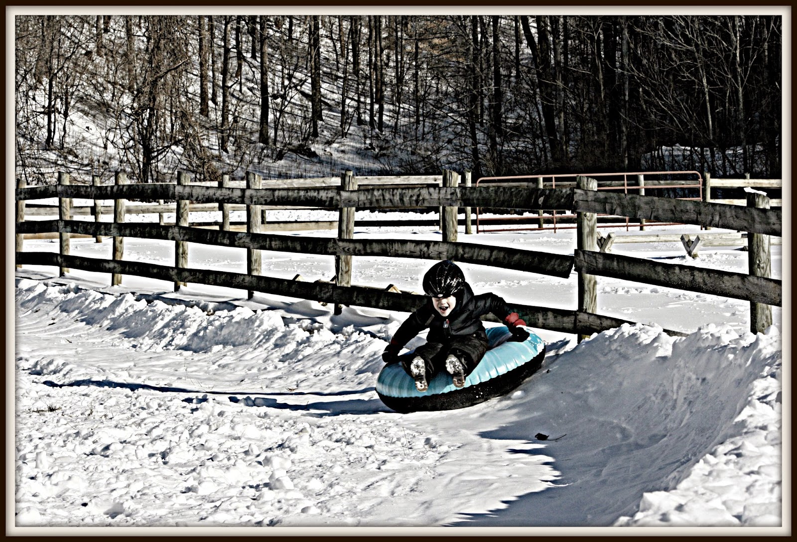 Two Bears Farm and the Three Cubs: The Bobsled Run