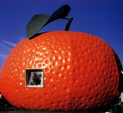 Calvin's Canadian Cave of Coolness: Big Mandarin, Mundubbera ...