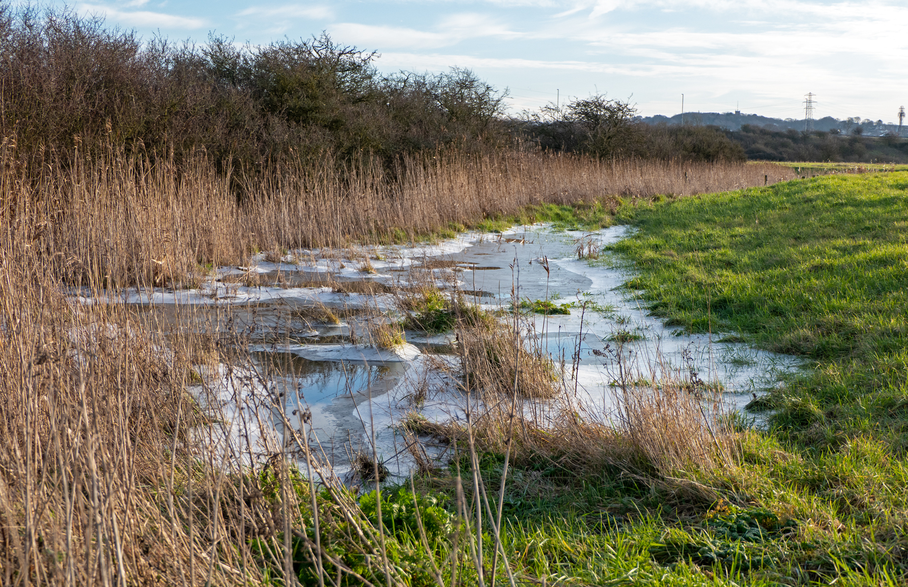Bowers Marsh walk, January 2021 No. 7
