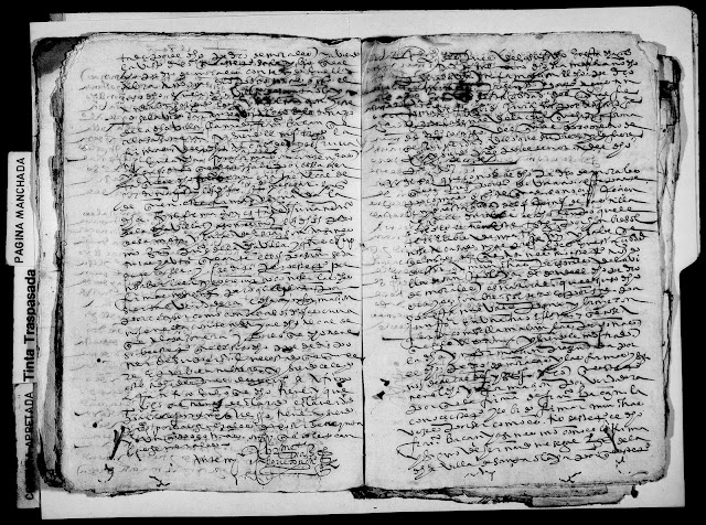 Genealogy's Star: The Almost Lost Art of Handwriting -- Reading Old Scripts