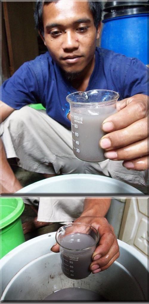 Kreasi Usaha: Manfaat Tanaman Jeringau (Acorus calamus L.) sebagai ...