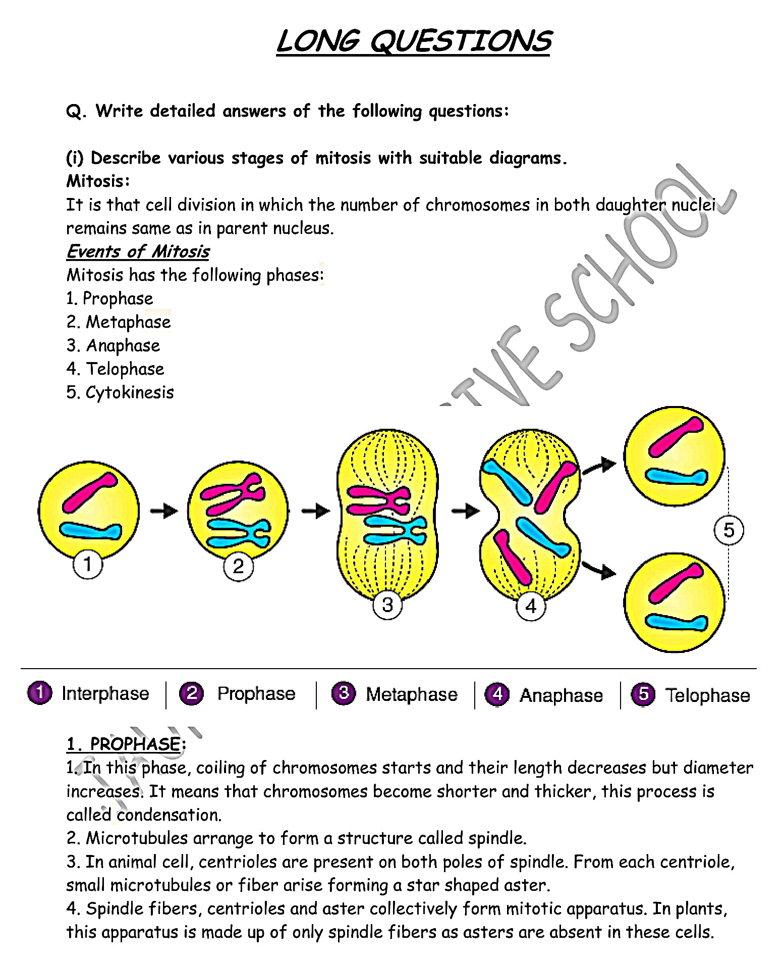Education Is The Key To Success: Biology For Class IX - Chapter No.5 ...