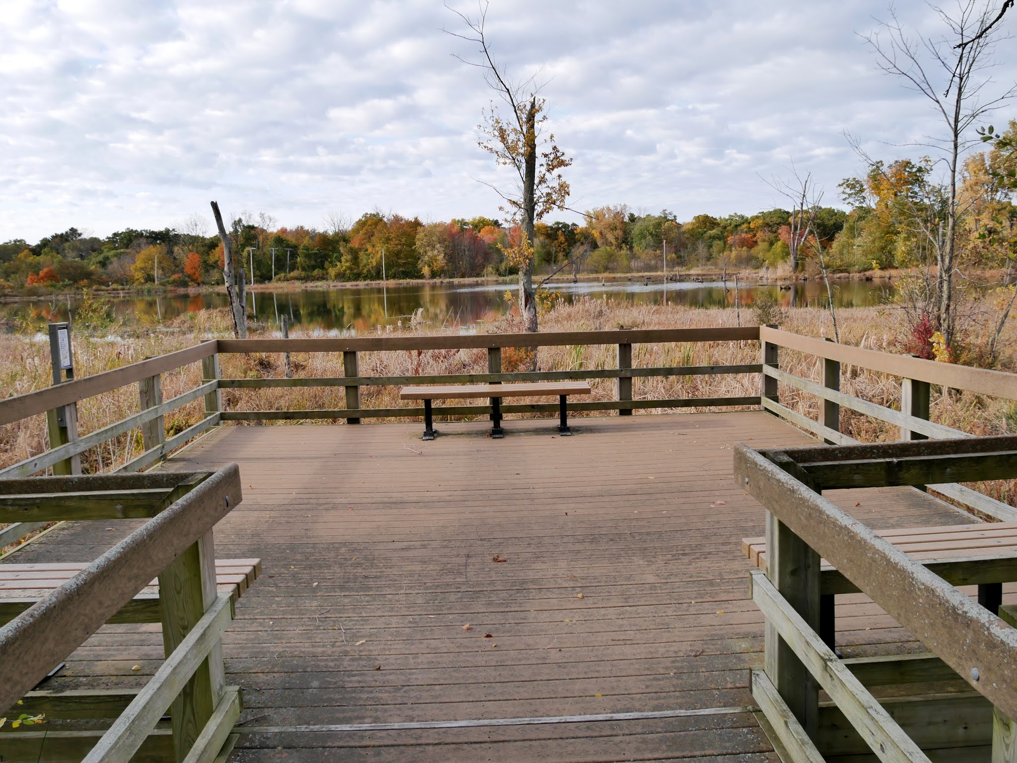American Travel Journal: Great Marsh Trail - Indiana Dunes National Park