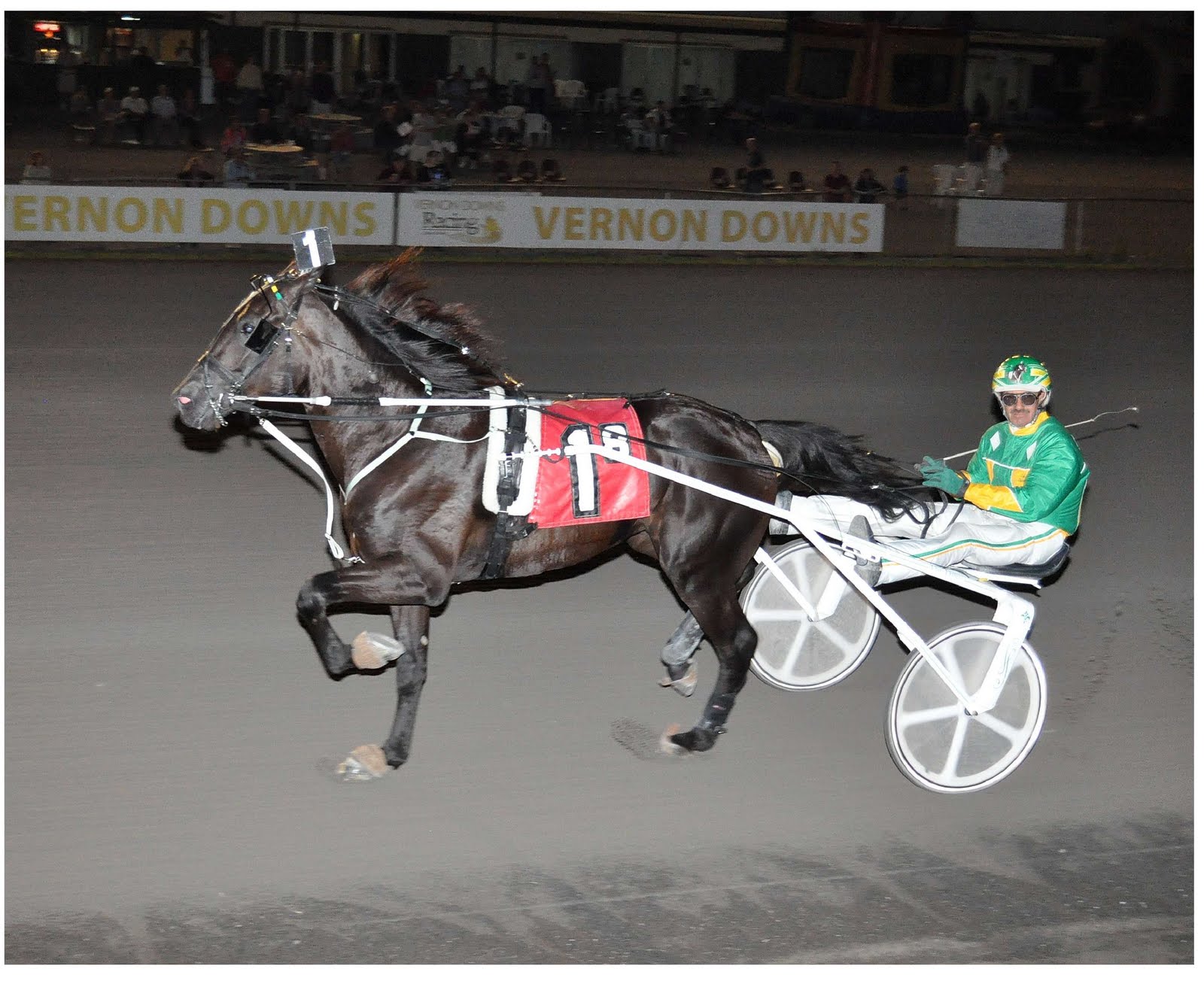 Vernon Downs Casino, Hotel & Racing News: Lawgiver Hanover and Royal ...