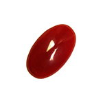 Coral (Pagadam) | Online Pooja Serives