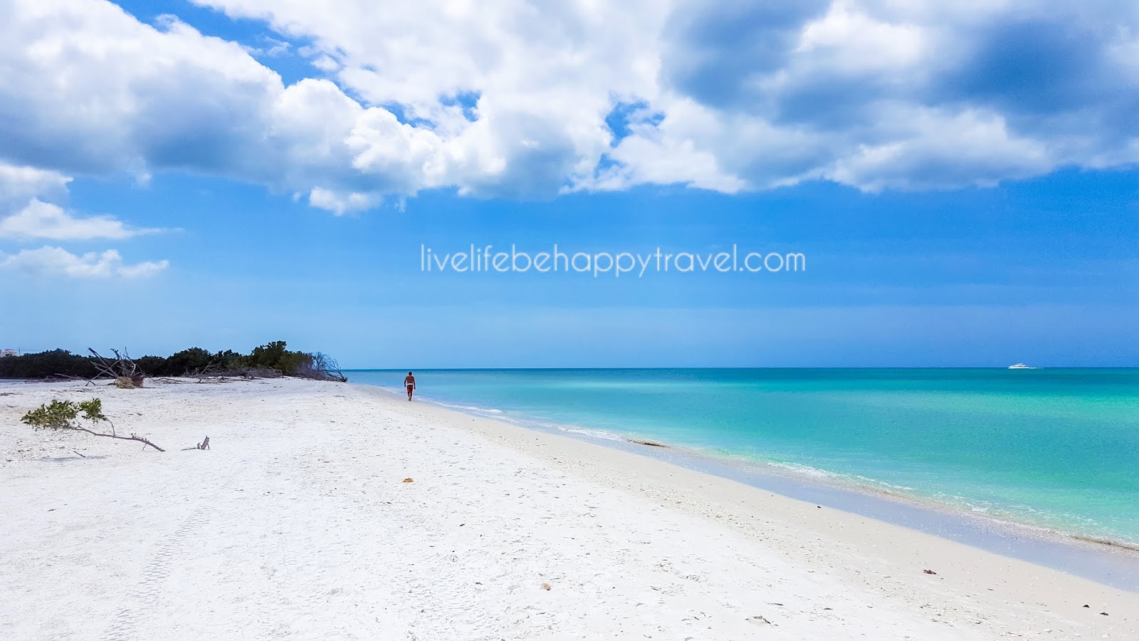 Life and Coconuts: Discover the Hidden Gem of Naples, Florida ...