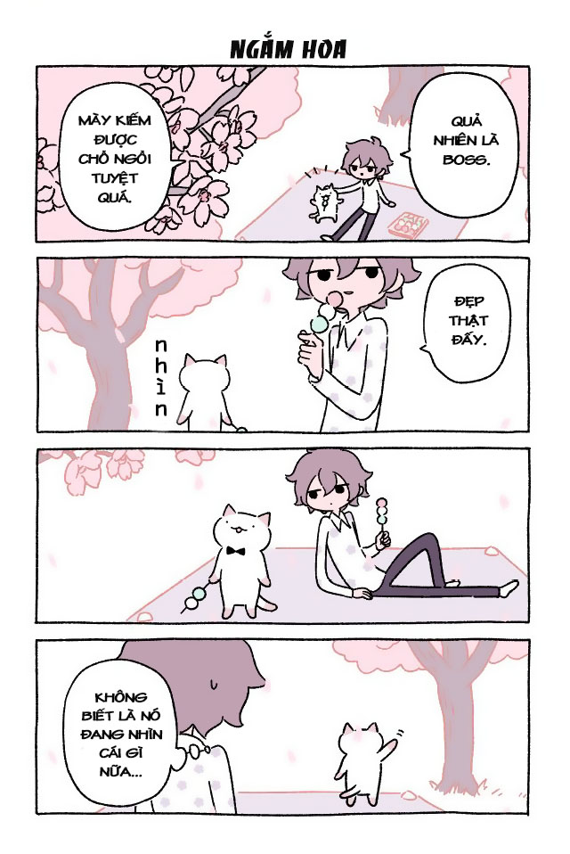 Wonder cat Kyuu-chan chap 21-40