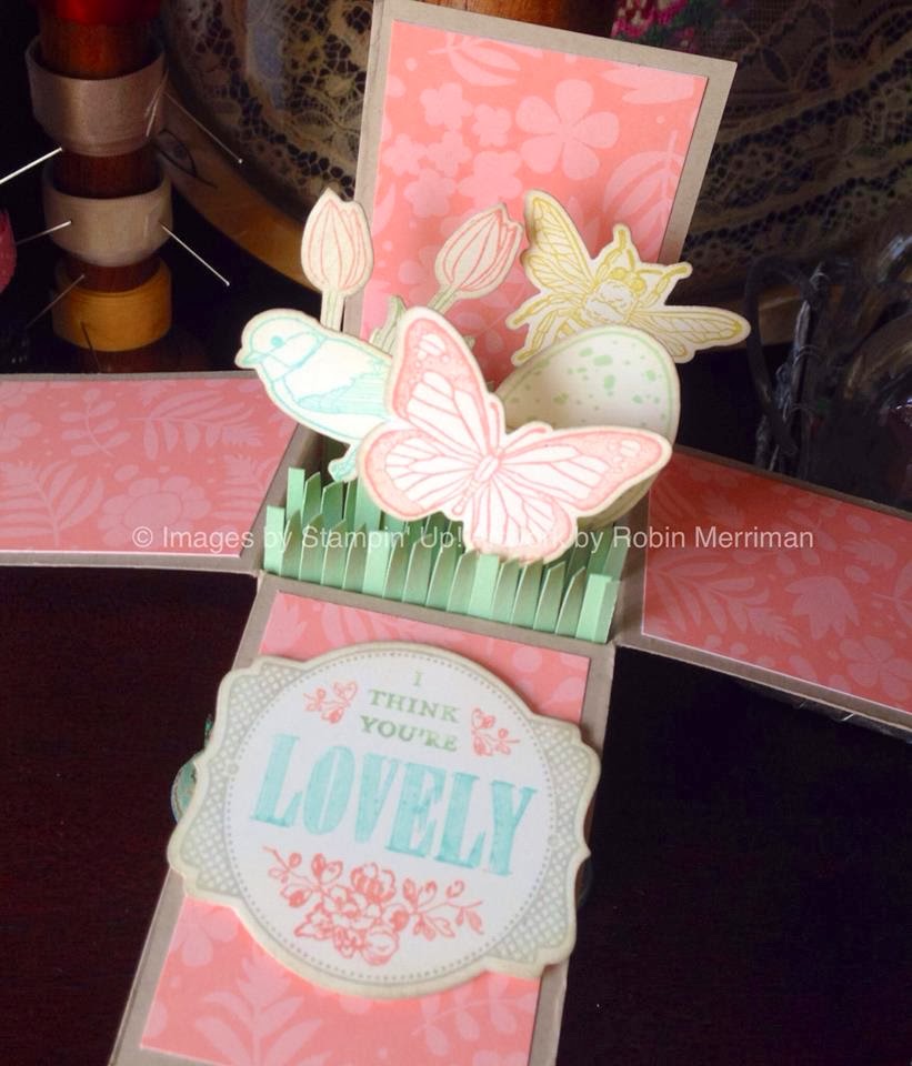 Trinity Designs: Spring in a Box! A Fun Fold-Out Card