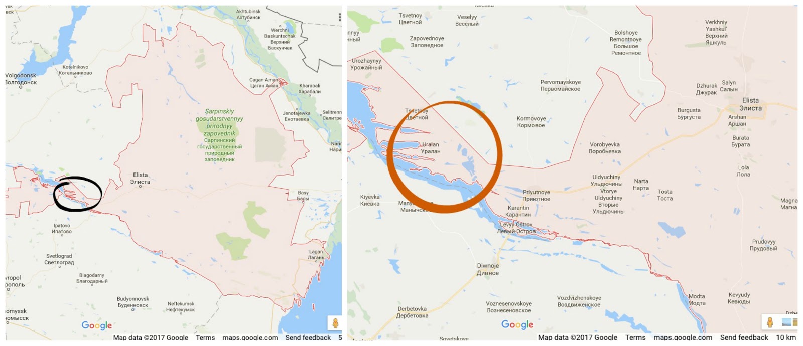 Kalmyk Adventure Blog: Kalmyk Tulip Festival