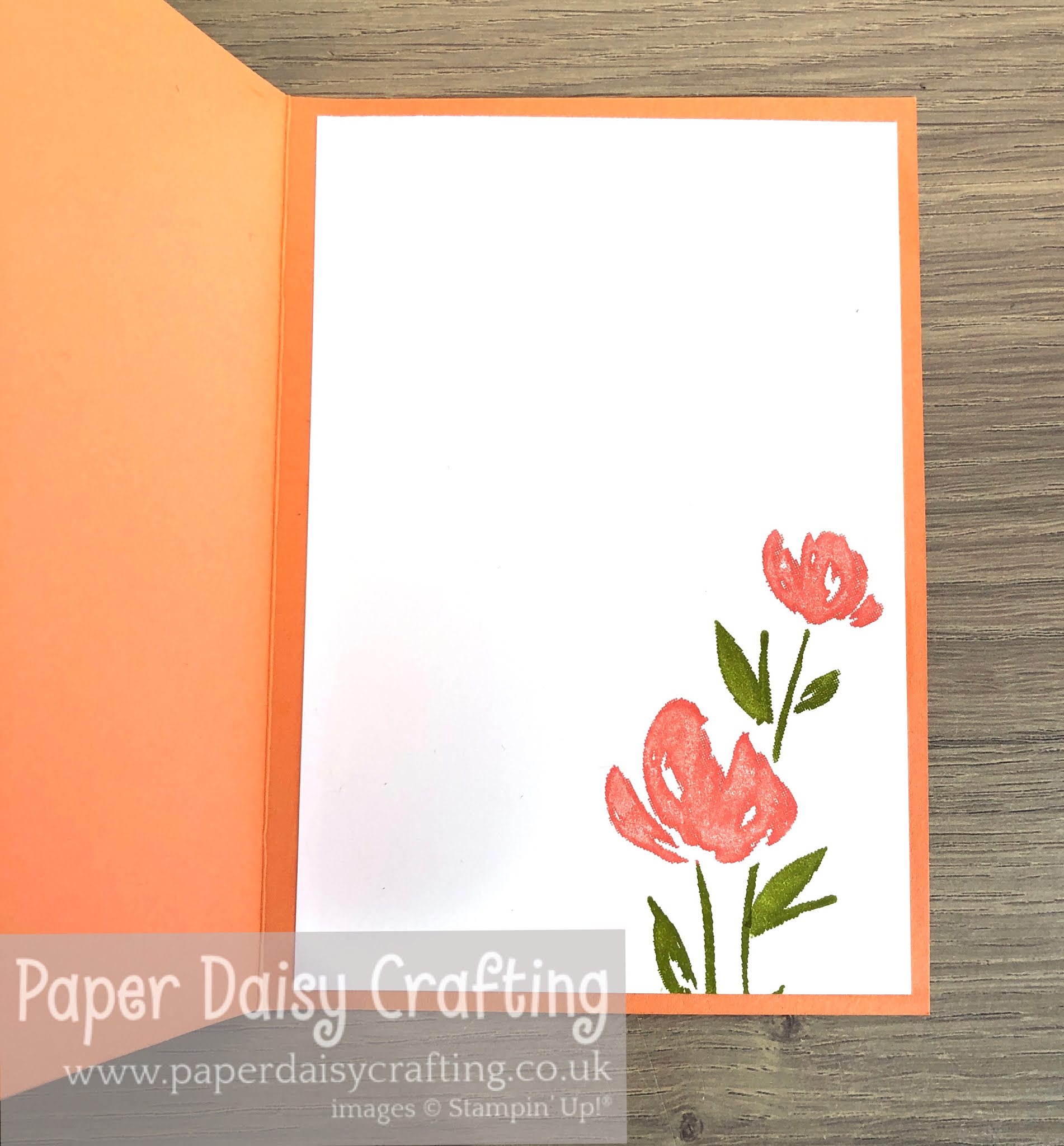 Paper Daisy Crafting: Three Cards with the Suite Sampler Stamp set
