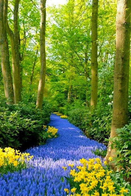 Blue Path, Kukenoff Gardens, Netherlands