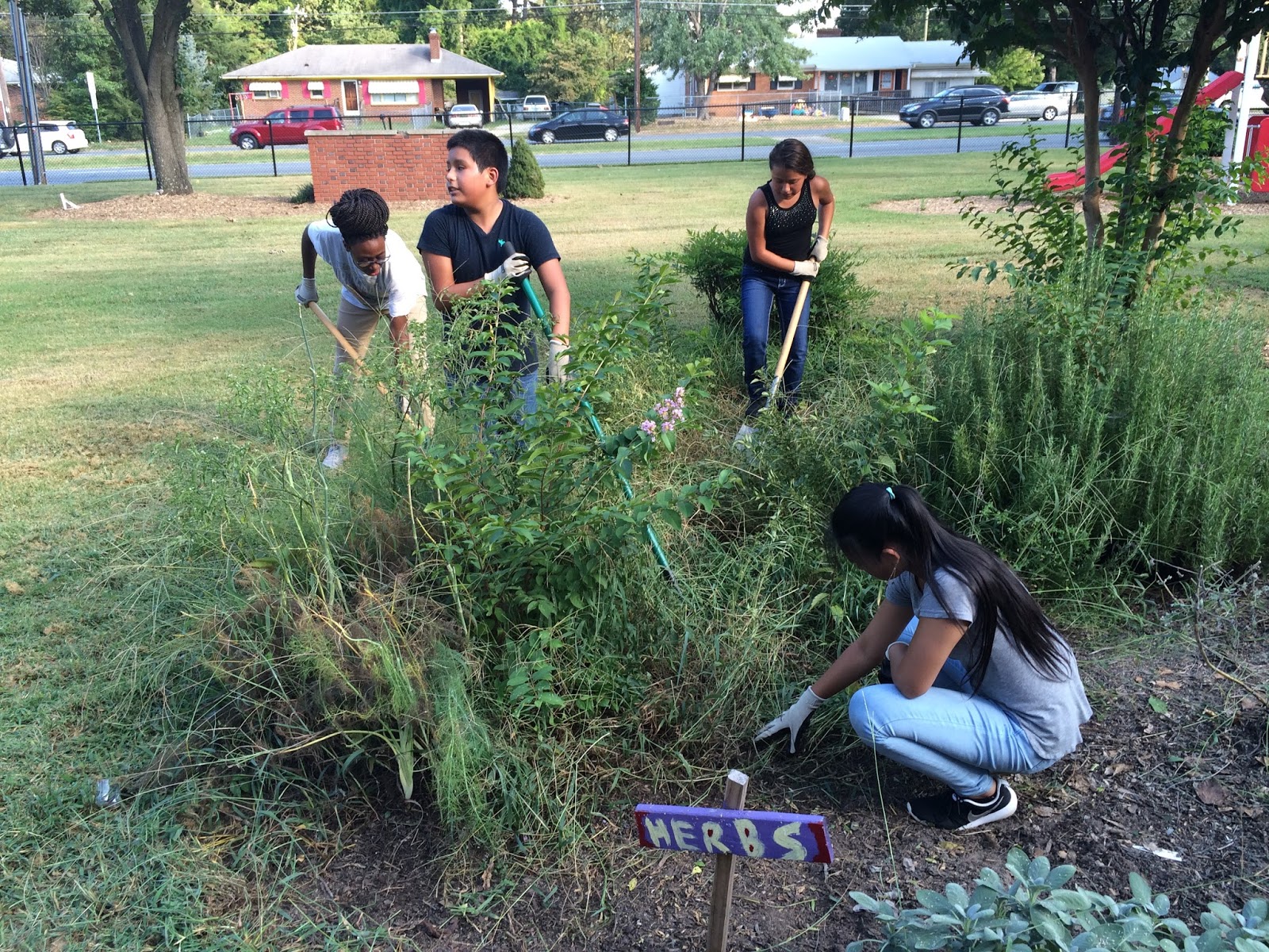 Sharing Our Guilford County School Gardens: Students at High School ...